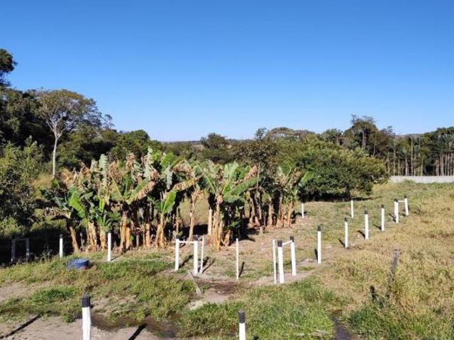 VENDO LINDA CHÁCARA DE 06 HECTARES PRÓXIMO NA PONTE ALTA DENTRO DO DF AC CARRO!