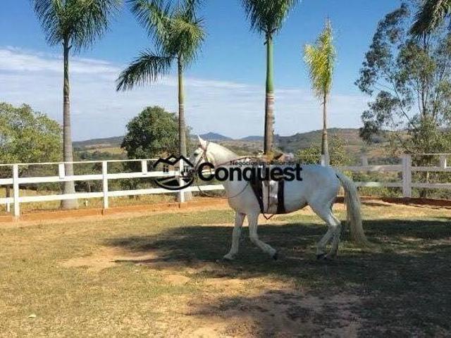 Vendo Lindo Haras Chácara localizado em São José da Varginha, Esmeraldas/MG com 10 hectares !