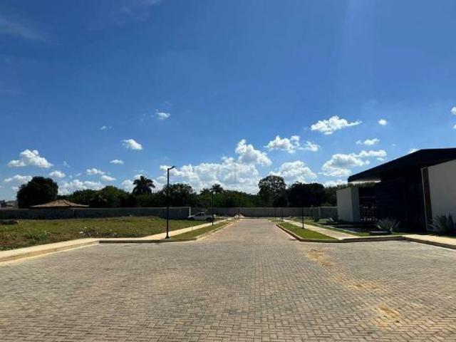 VENDO LOTE MARAVILHOSO SMPW QD 5