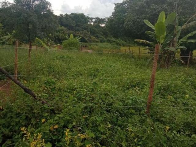 Vendo Lote na região do Tororó