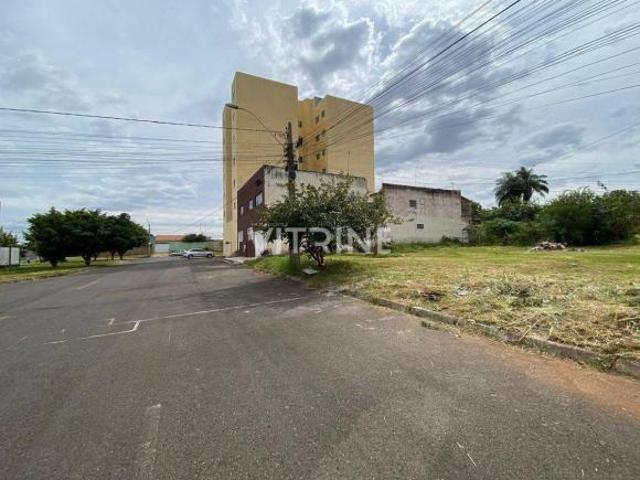 Vendo Lote Comercial Setor Sul do Gama