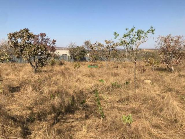 VENDO LOTE DE 360M² NO ESTRELA DALVA EM CAETANÓPOLIS MG