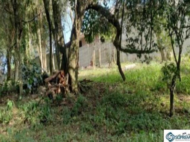 VENDO LOTE EM CURITIBA
