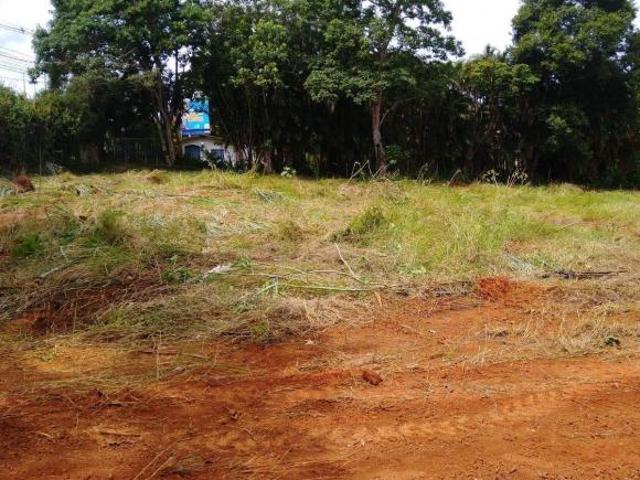 VENDO LOTE EM VICENTE PIRES LOCAL DE MUITA PAZ OPORTUNIDADE AC CARRO!