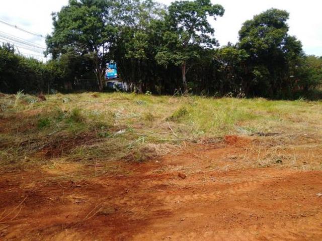 VENDO LOTE EM VICENTE PIRES LOCAL DE MUITA PAZ OPORTUNIDADE AC CARRO!