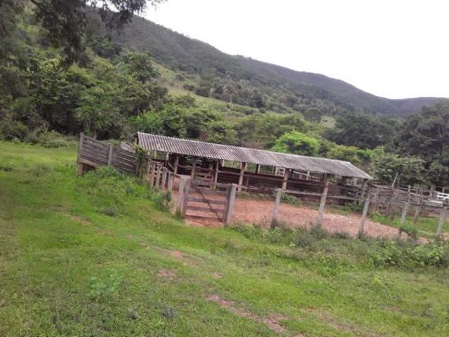 VENDO ÓTIMA FAZENDA 1.267 HECTARES PARA PECUÁRIA NO MUNICÍPIO DE COCALZINHO