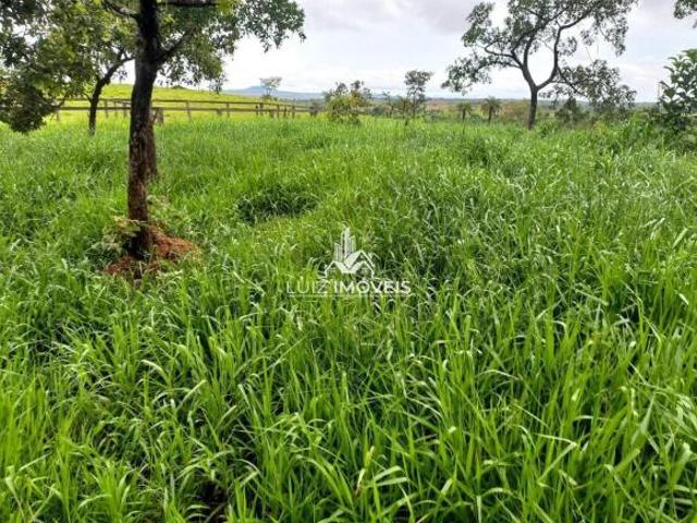 Vendo Pecuária 740hectares São Gonçalo do Abaete MG
