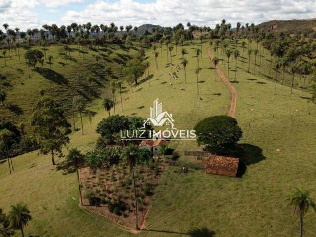 Vendo Sitio 13.35hectares Espinha Do Peixe Tiros MG
