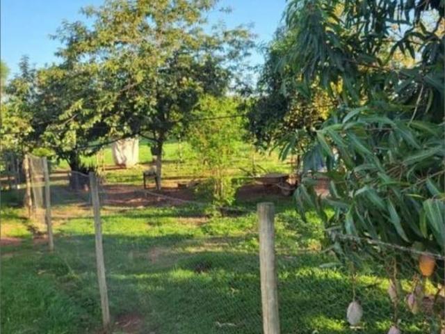 Vendo sítio 1.6 alqueire, Duplo Céu, distrito de Palestina SP