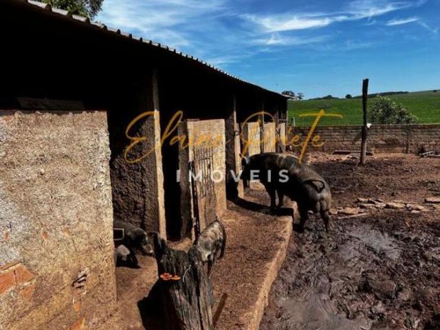 VENDO SITIO ANALANDIA