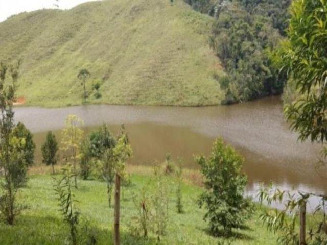 VENDO SITIO DE 10 ALQUEIRES COM REPRESA DE 25.000M EM NATIVIDADE DA SERRA 4145