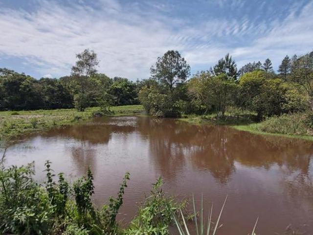 Vendo Sitio de 3,2 Hectares em Sapiranga/RS, apenas 2km da Ers 239