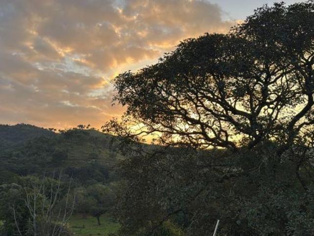VENDO SÍTIO MOEDA 1000 m2 COM CASA ASFALTO NA PORTA, ENERGIA SOLAR