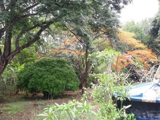 VENHA VIVER O CAMPO SEM ABRIR MÃO DO CONFORTO DA CIDADE