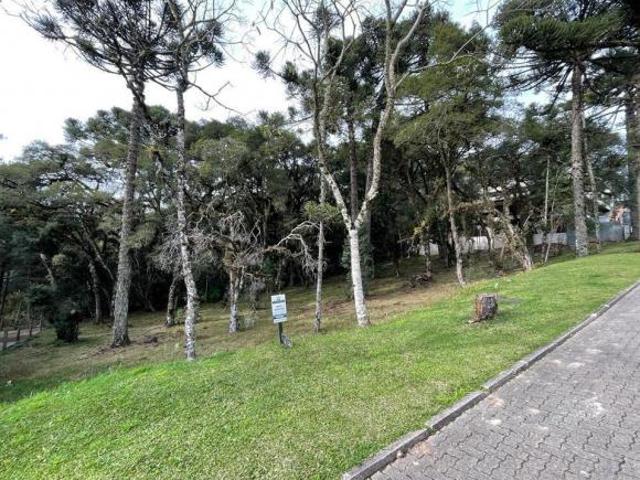 VENHA MORAR NO ALTOS PINHEIROS
