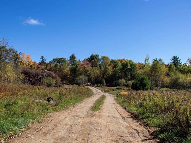 Venheim Rd Lot,lunenburg, Plot For Sale