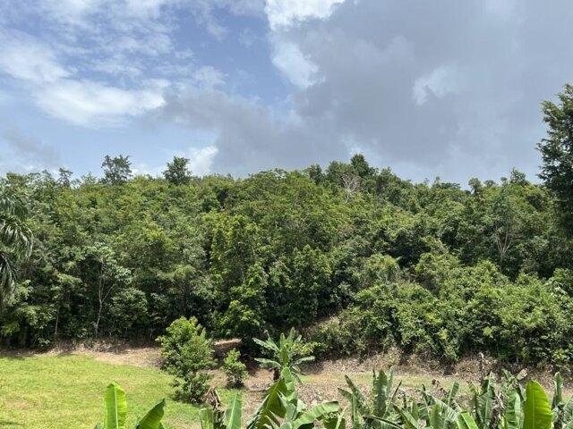 Vega Baja, Plot For Sale