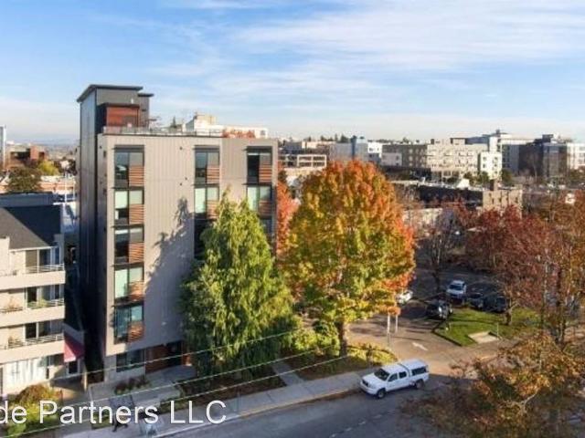 Vega Studio Apartment for Rent at 4528 44th Ave Sw, Seattle, WA 98116 Junction