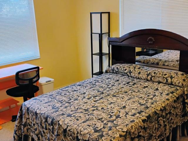 Vegan Roommates Desired
