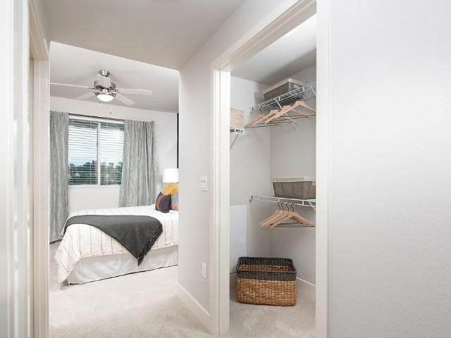 Vela on Ox 2 Bedroom Apartment for Rent at 21221 Oxnard St, Los Angeles, CA 91367 Woodland Hills Warner Center
