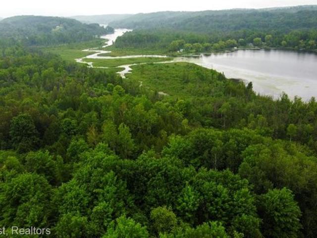 Veldkamp Rd, Central Lake, MI 49622