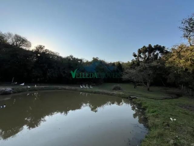 Velleda oferece lindo sítio a menos de 10km do centro de Viamão