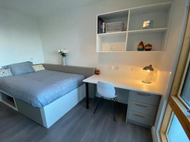 Very nice single ensuite bedroom in Newington Green Has a Room