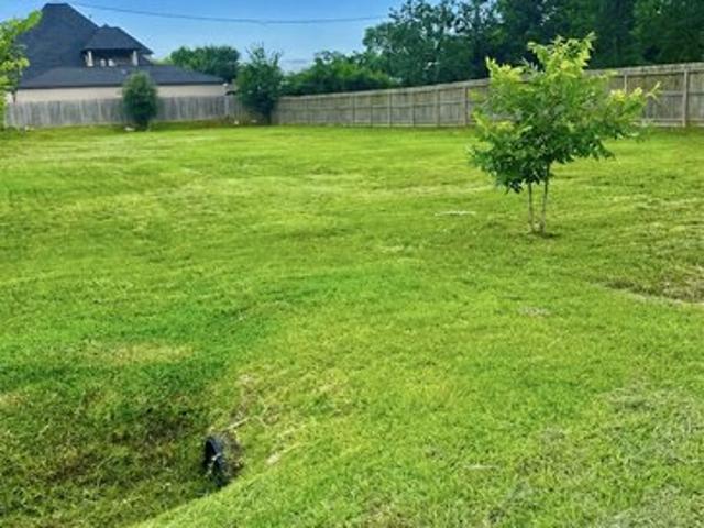 Vera Lou, Houston, TX 77051