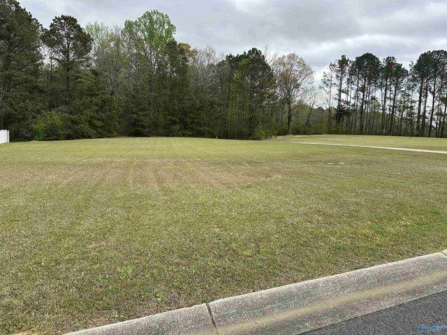 Veranda Trce Lot 5, Hokes Bluff, AL 35903