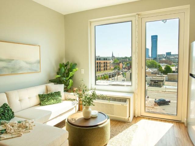 Verdant 1 Bedroom Apartment for Rent at 648 Bridge St Nw, Grand Rapids, MI 49504 SWAN