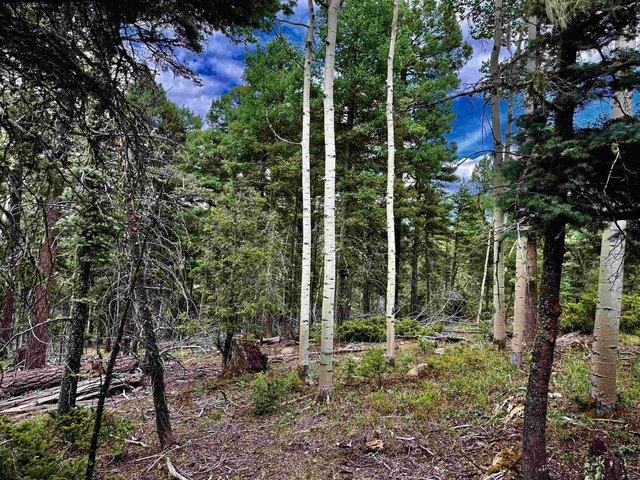 Vermejo Cir Lot 275, Angel Fire, NM 87710