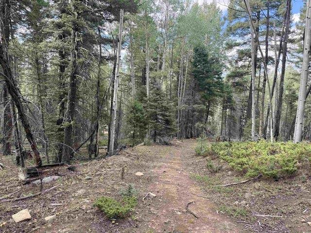 Vermejo Ter Lot 40A, Angel Fire, NM 87710