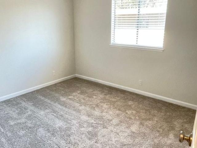 Vermont 1032 2 Bedroom Apartment for Rent at 1032 Vermont St, San Jose, CA 95126 Vermont McKendrie