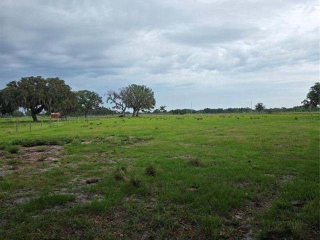 Vernon Dairy, Spring Hill, FL 34610