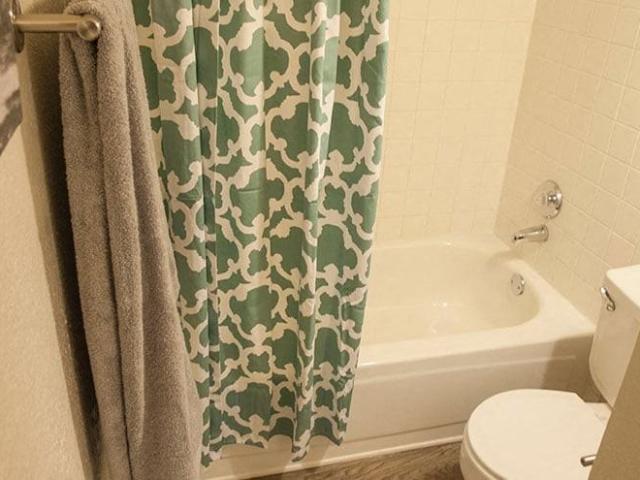 The Versailles Apartments 1 Bedroom Apartment for Rent at 4900 Pear Ridge Dr, Dallas, TX 75287