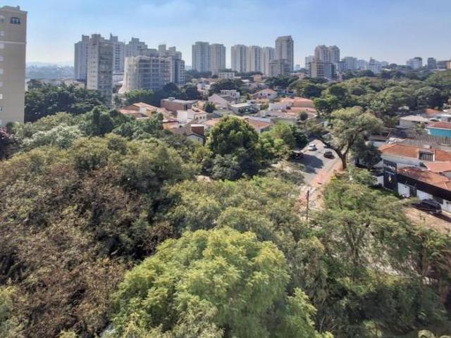 Versátil apartamento para venda em Alto da Lapa com 3 quartos, 80m² remaxmonarca#194Z2