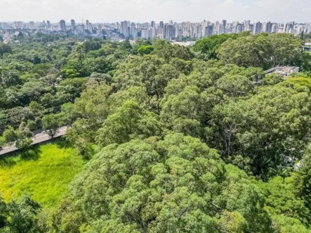 Deslumbrante casa para venda em Jardim Marajoara com 4 quartos, sendo 2 suítes, 237m² remaxares#JG