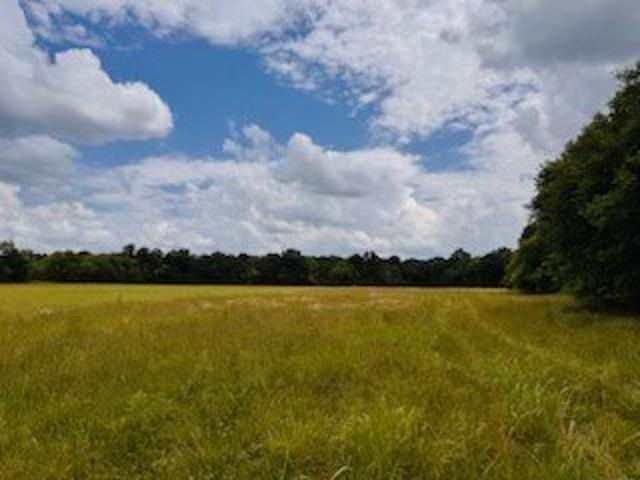Vesta Rd, Lebanon, TN 37090
