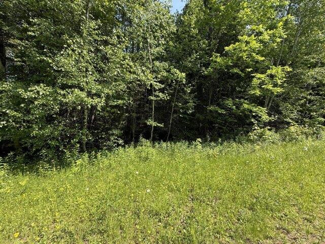 Vfw St, Lincoln, Plot For Sale