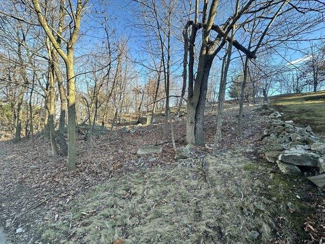 Vfw Pkwy, Boston, Plot For Sale