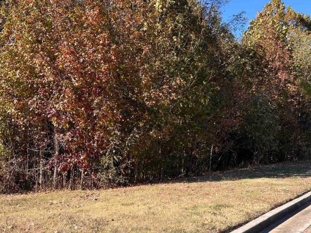 Vintage Dr, Cordova, TN 38016 | MLS #10209