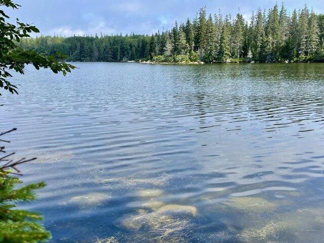 Vinalhaven ME 04863 104849518
