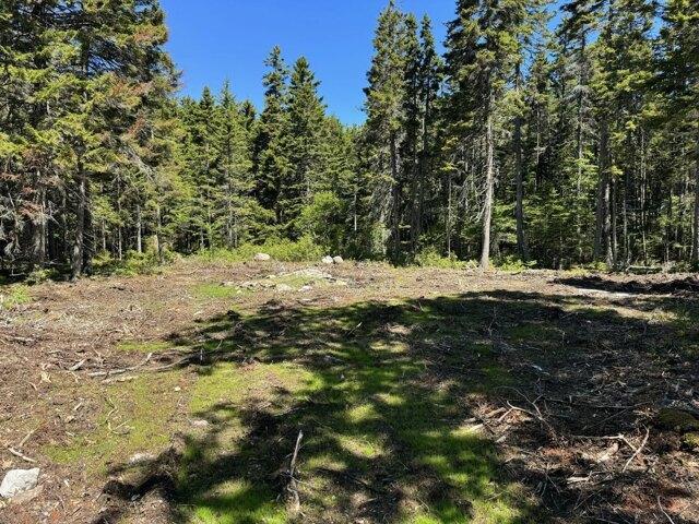 Vinalhaven ME 04863 104852351