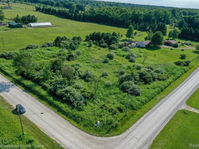 Vincent, Grant Township, MI 48032