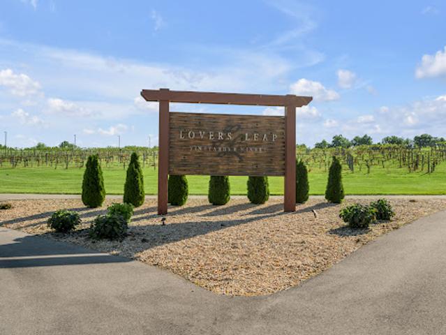 Vineyard