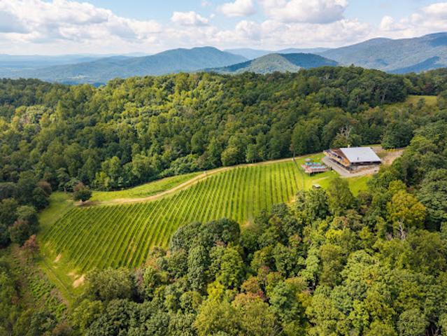 Vineyard