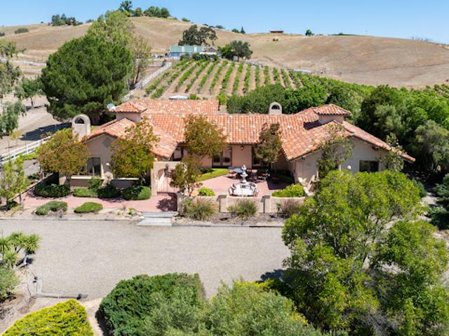 Vineyard