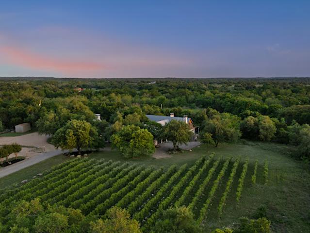 Vineyard