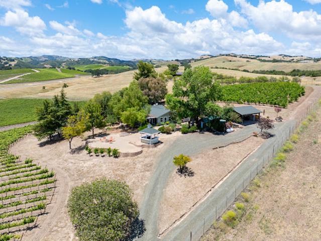 Vineyard