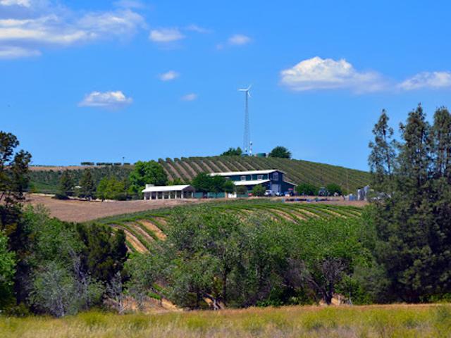 Vineyard